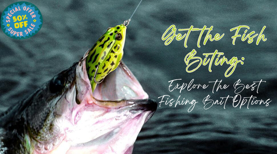 Get the Fish Biting: Explore the Best Fishing Bait Options– JOYINBOX